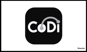Pagos CoDi: ¿Qué es y cómo funciona? | Estación